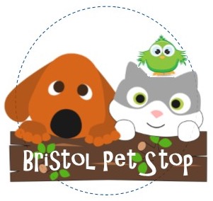 Bristol #WasteNothing Challenge - Bristol Waste Company